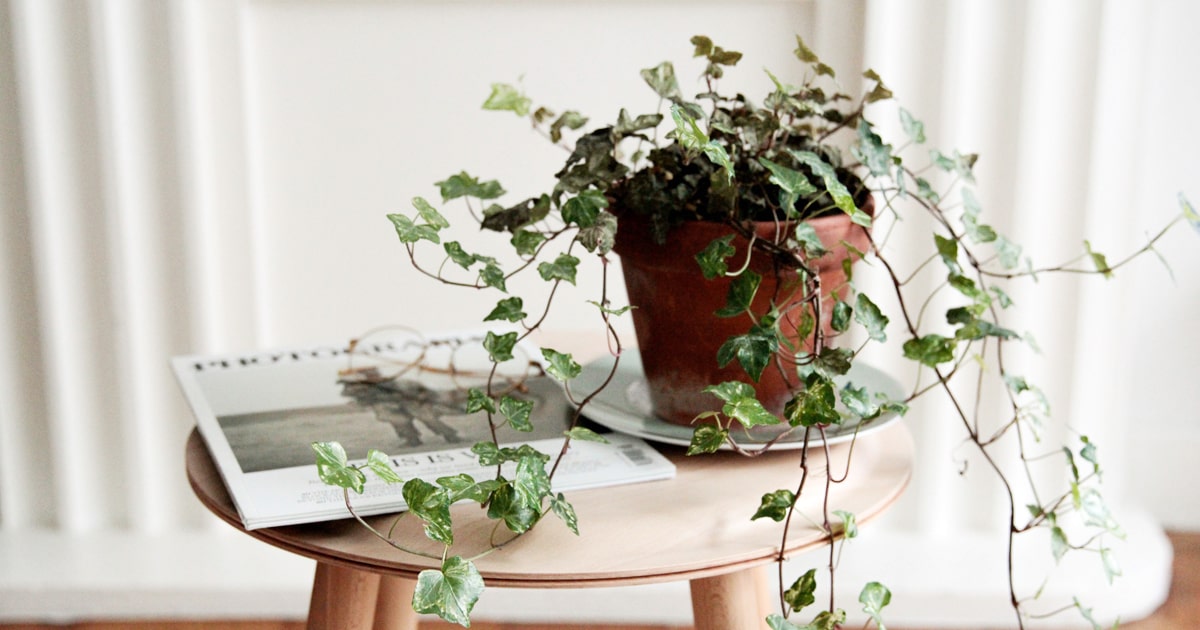 4 Ways to Maintain Inner Peace at Work – Pure Thoughts Ltd