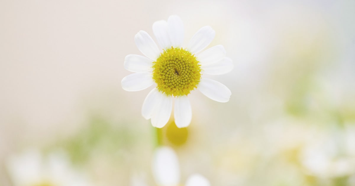 10 Ways to Create More Joy in Your Day – Pure Thoughts Ltd